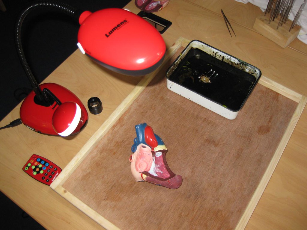 Writing and Drawing in Online Presentations – Digital Education team blog