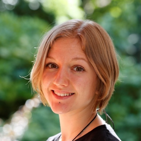 Artist: Anne-Marie Culhane | Sustainable Earth Institute