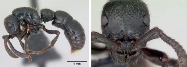 Cornish Geothermal: Hello from Professor Iain Stewart | Sustainable ...